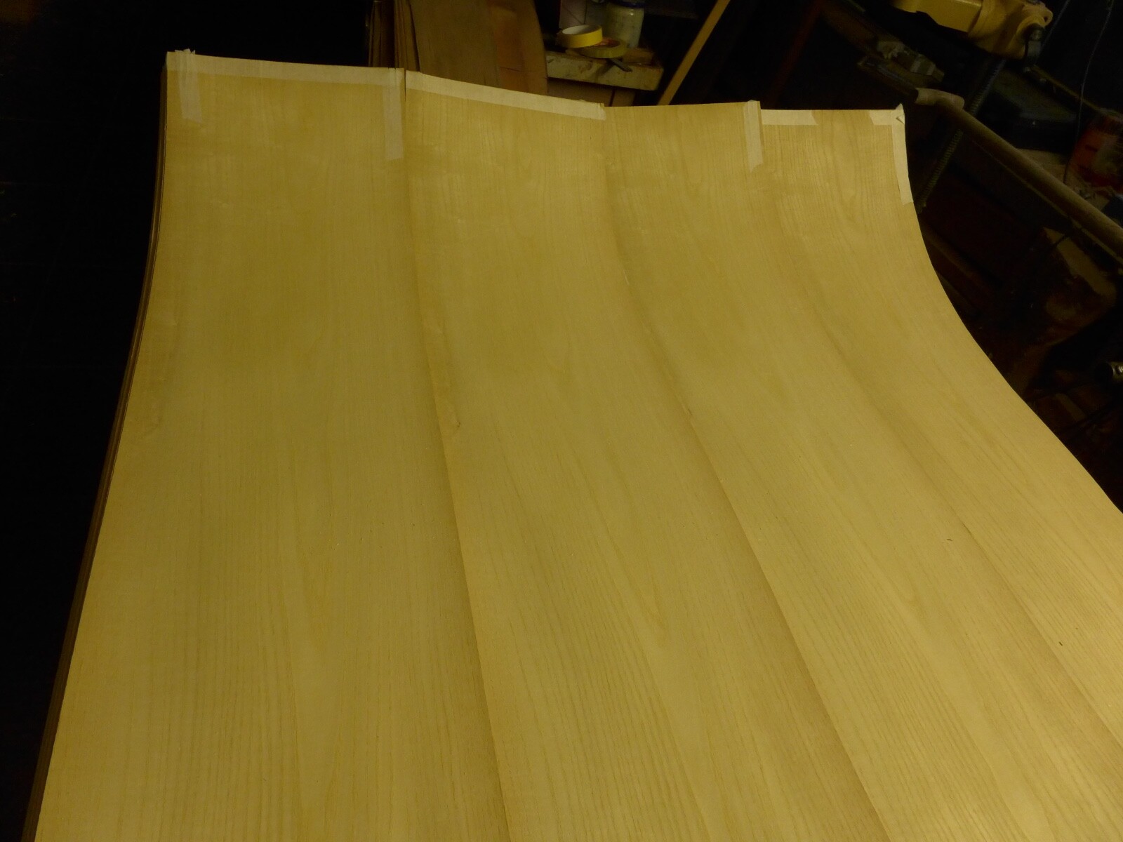 Furnier "ESCHE" 4 Blatt 210 / 31 cm hell kernig-blumig, super ...