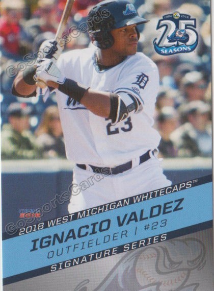 2018 West Michigan Whitecaps Ignacio Valdez RC Rookie Detroit Tigers Minor | eBay