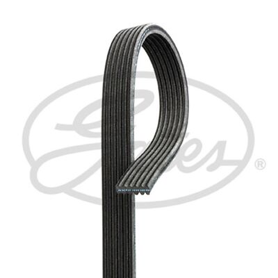 6 Rib Multi V Drive Belt 6DPK1825 Gates 9A110221700 30731811 30731862 ...