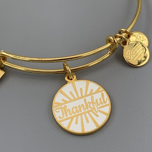 Alex And Ani Gold Tone Bracelet With Thankful Charm A203 | eBay