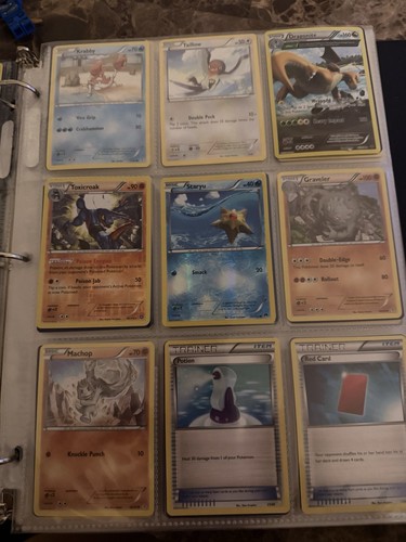 Random Pokémon Binder Raffle, EX CARDS & NORMAL CARDS 1/30 chance of ...