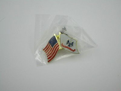 US Army Flag Pin, USA flag pin, military branch pin, military lapel pin ...
