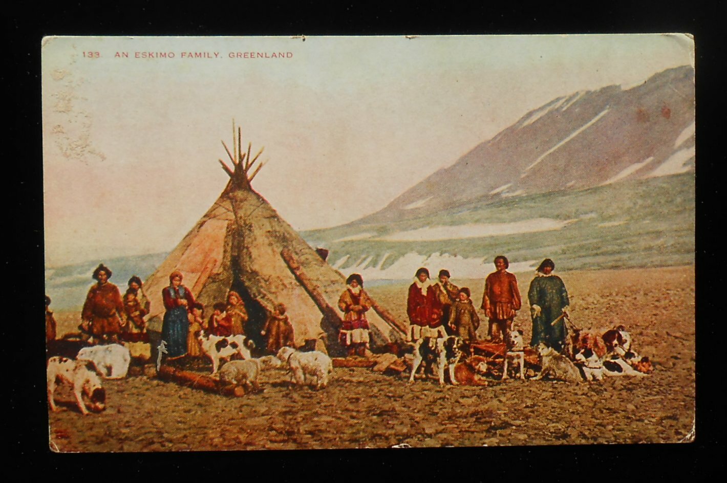 1910s An Eskimo Family Dogs Teepee Greenland Postcard | eBay