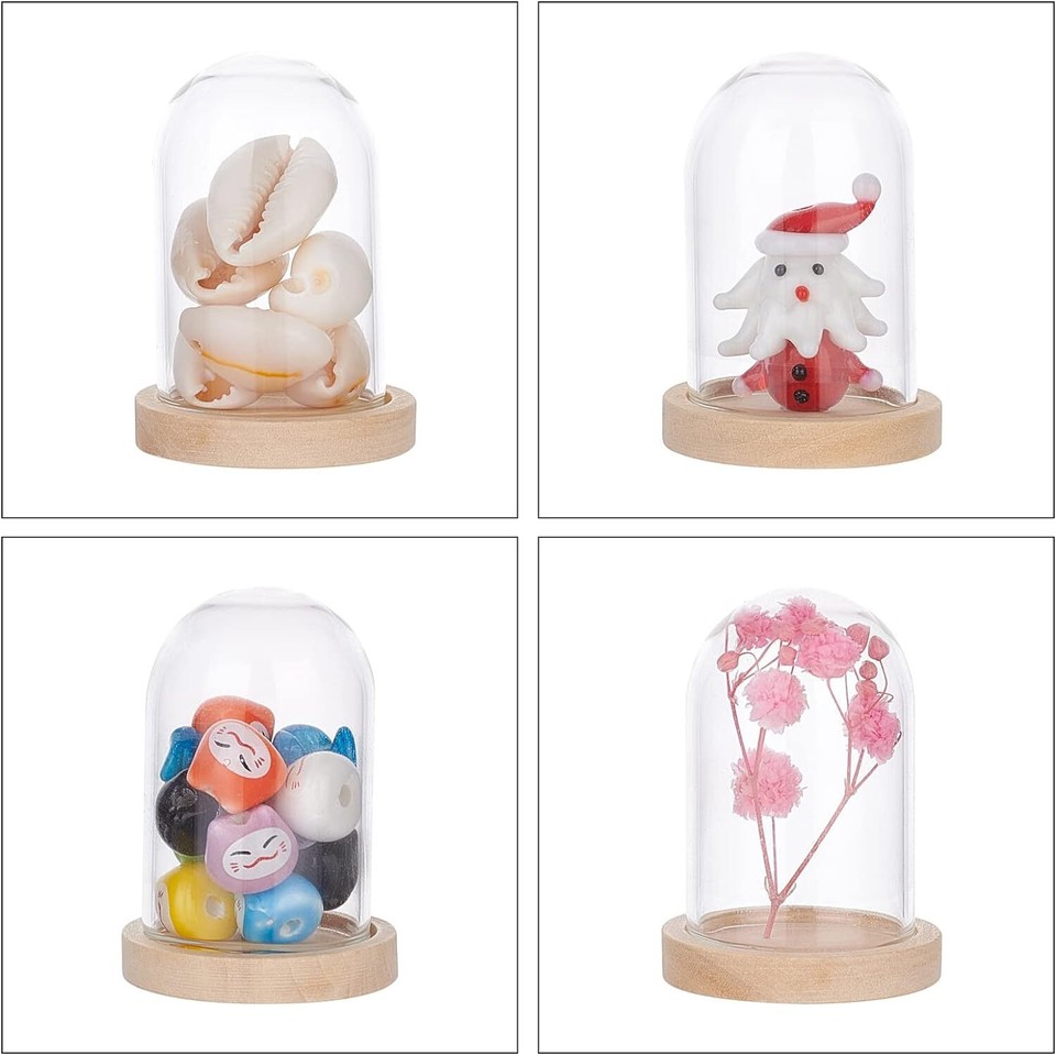 NBEADS 10 Sets Mini Eternal Flower Glass Dome Cloche, Clear Display... | eBay