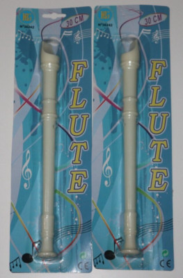 Lot 2 Flûtes à Bec Blanche en Plastique 30 cm | eBay