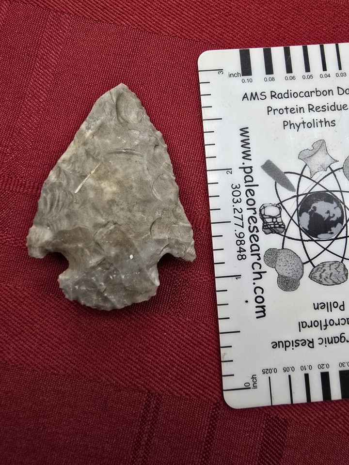 Beautiful Shiny Arrowhead | eBay