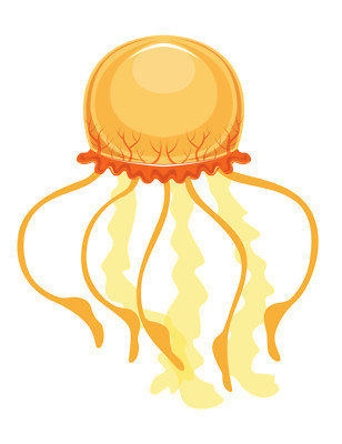 Autoaufkleber Sticker Qualle Tier Aufkleber | eBay.de