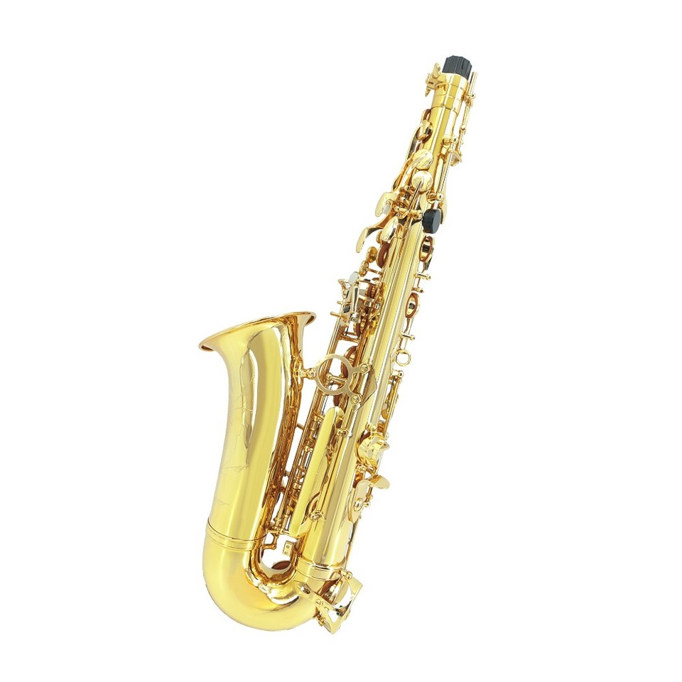 Alto Saxophone E Flat Gold Lacquer Beginner Full Kit With Case ...
