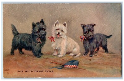 c1910's Christmas Three Cute Dogs Embossed Oilette Tuck's Antique ...