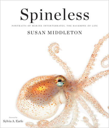 Spineless - Hardcover By Middleton, Susan - GOOD 9781419710070| eBay