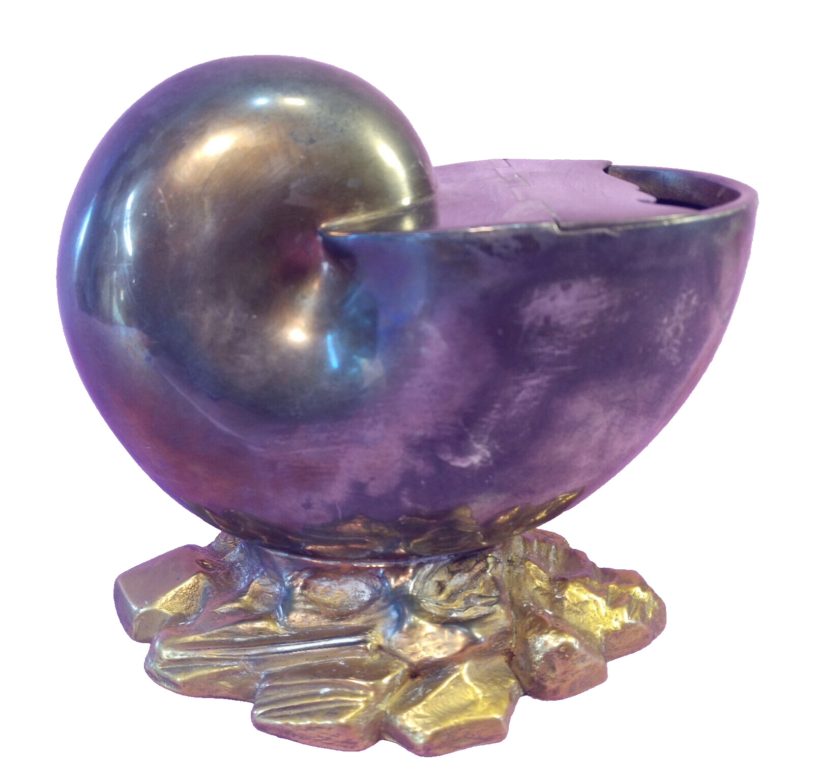 Victorian Spoon Warmer Nautilus Shell 1800s Antique Silverplate Brass ...