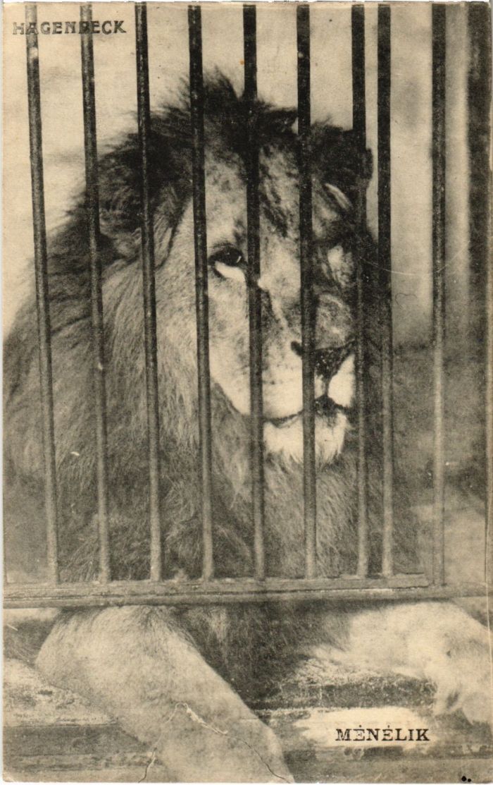 PC HAGENECK MELENIK CIRCUS LION DRESSEUR (a31090) | eBay