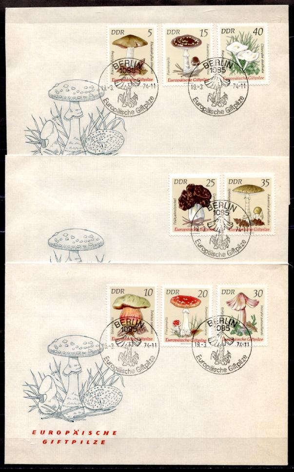 Pilze. 3FDC. DDR 1974 | eBay