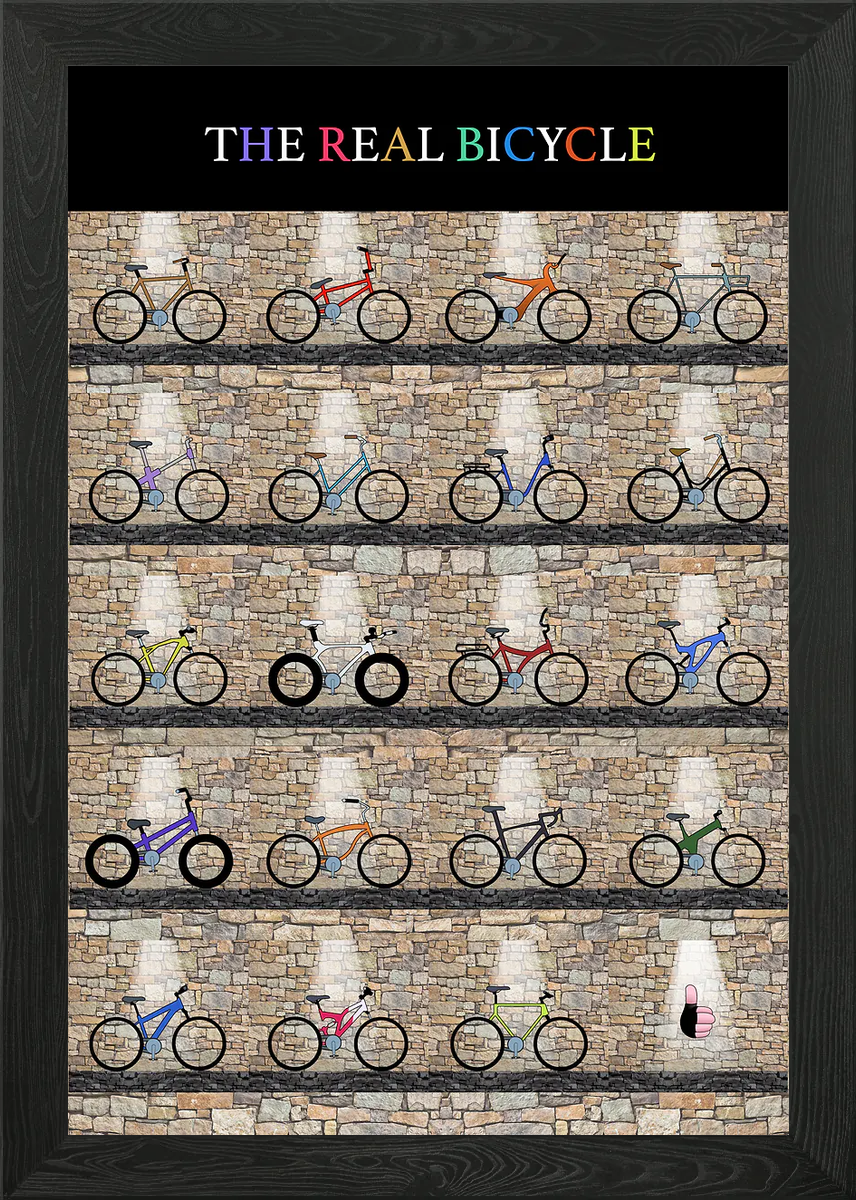 THE REAL BICYCLE Framed Wall Art Poster Canvas Print Picture | eBay UK