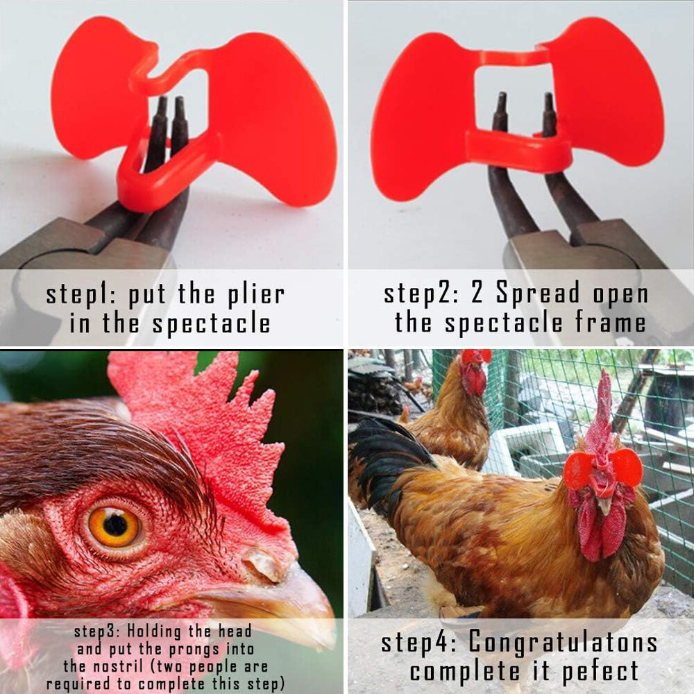 100PCS No Fighting Pinless Chicken Peepers Pheasant Poultry Blinders ...