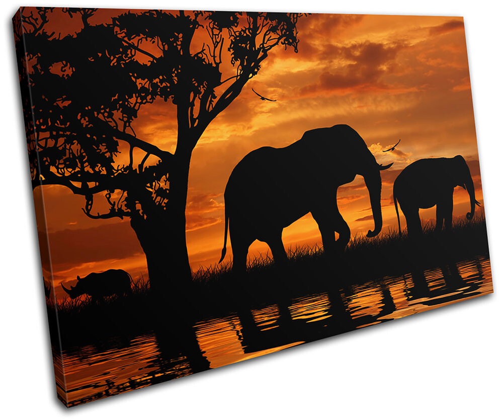 Silhouettes Sunset Animals