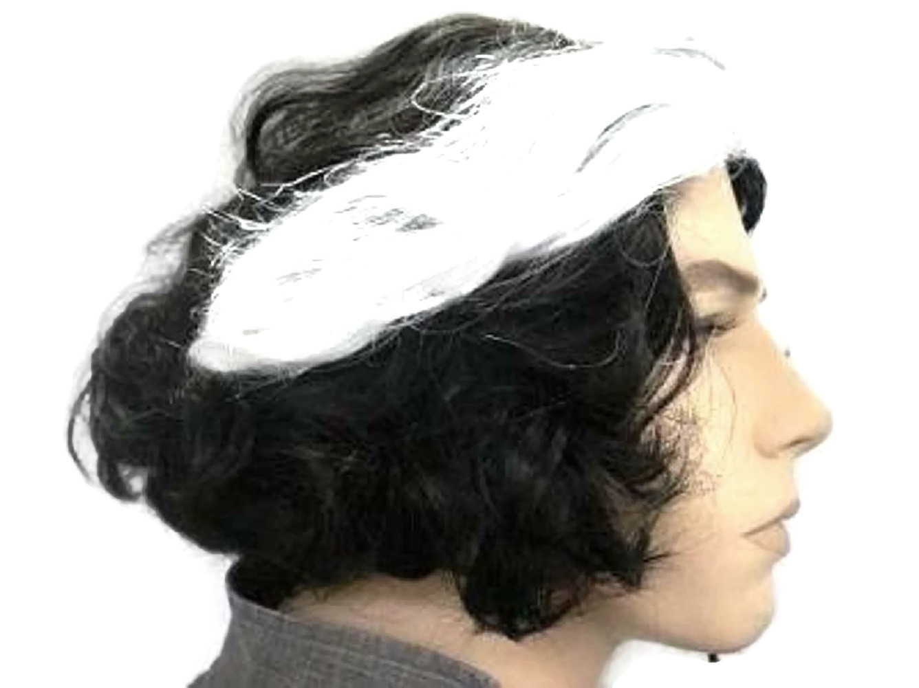 SWEENEY TODD Adult Hair WIG Demon Barber Of Fleet Street Costume movie ...