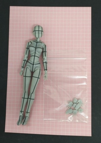 Wireframe Model S.H.Figuarts Body Chan Bandai JJM80 | eBay
