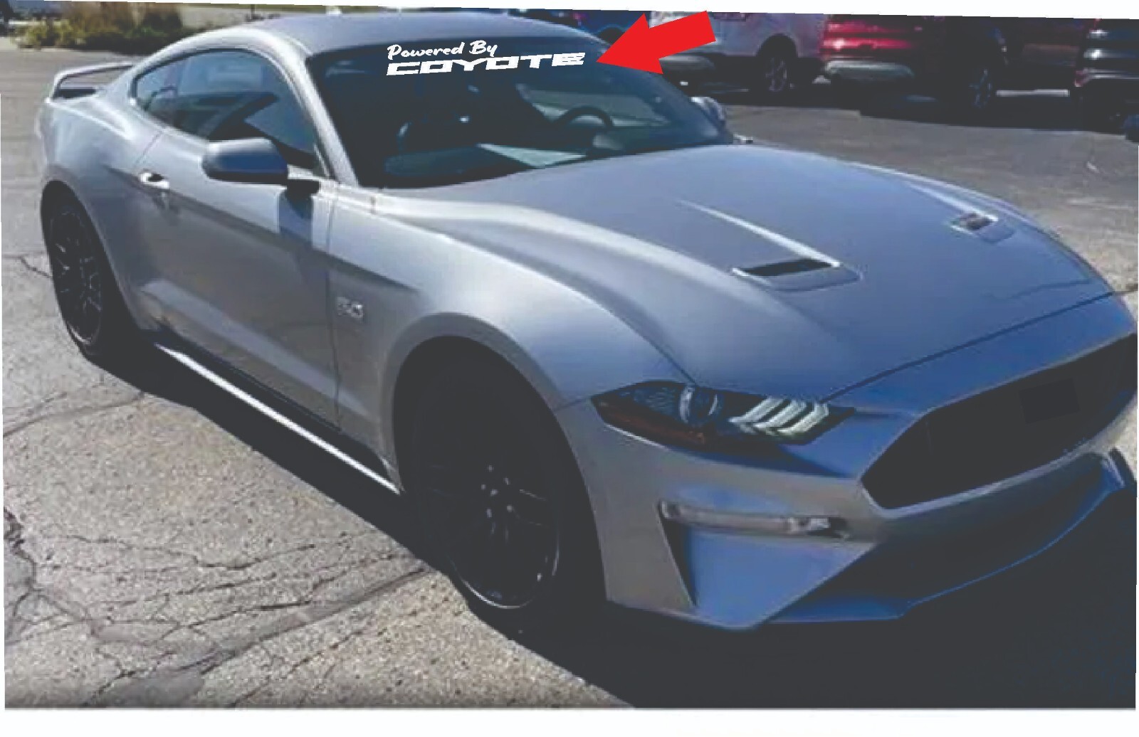 COYOTE Windshield Banner Decal Sticker Mustang 5.0 pp1 pp2 GT Car ...