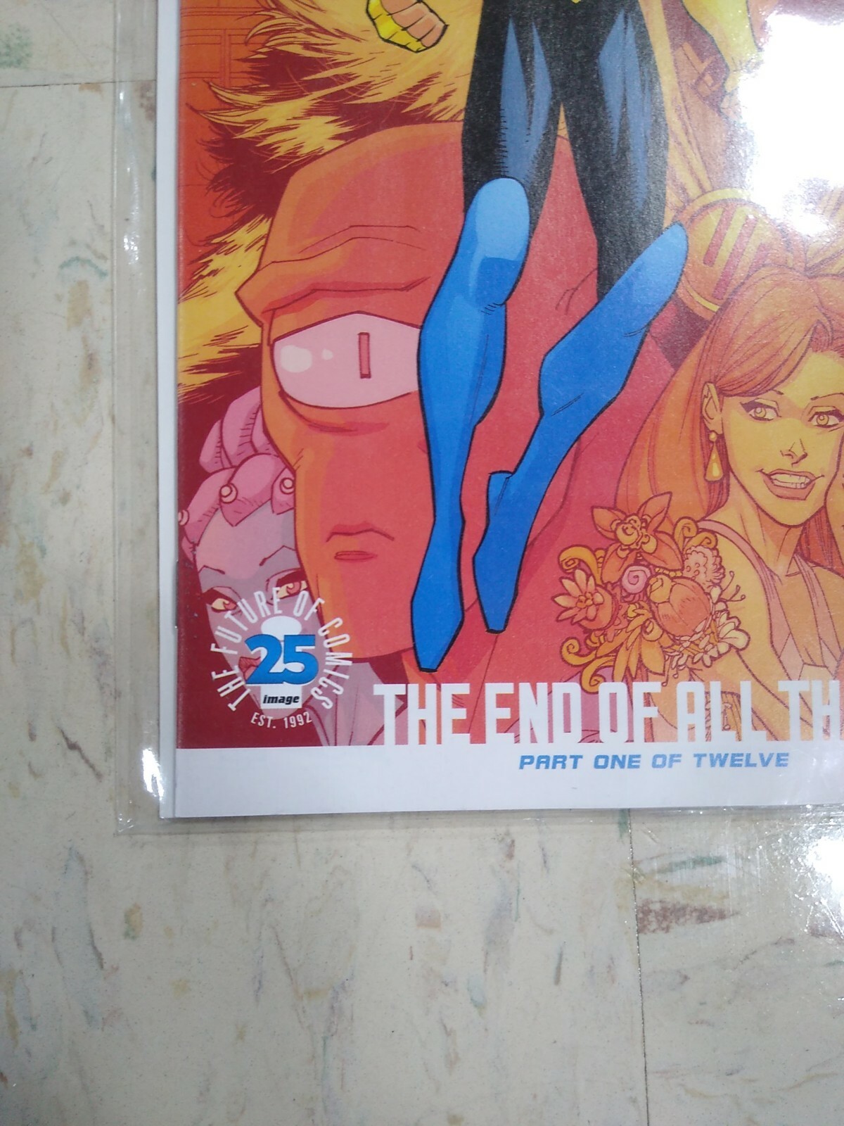 Invincible #133 (2017) The End Of All Things Part 1 Of 12 Wedding Issue ...