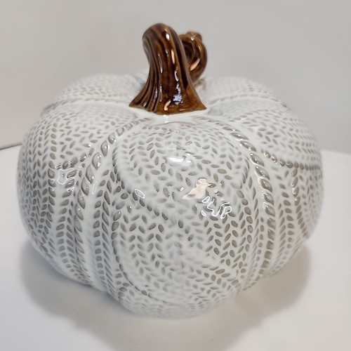 Harvest Ceramic Pumpkin Fall White Textured Brown Curly Stem Home Decor ...