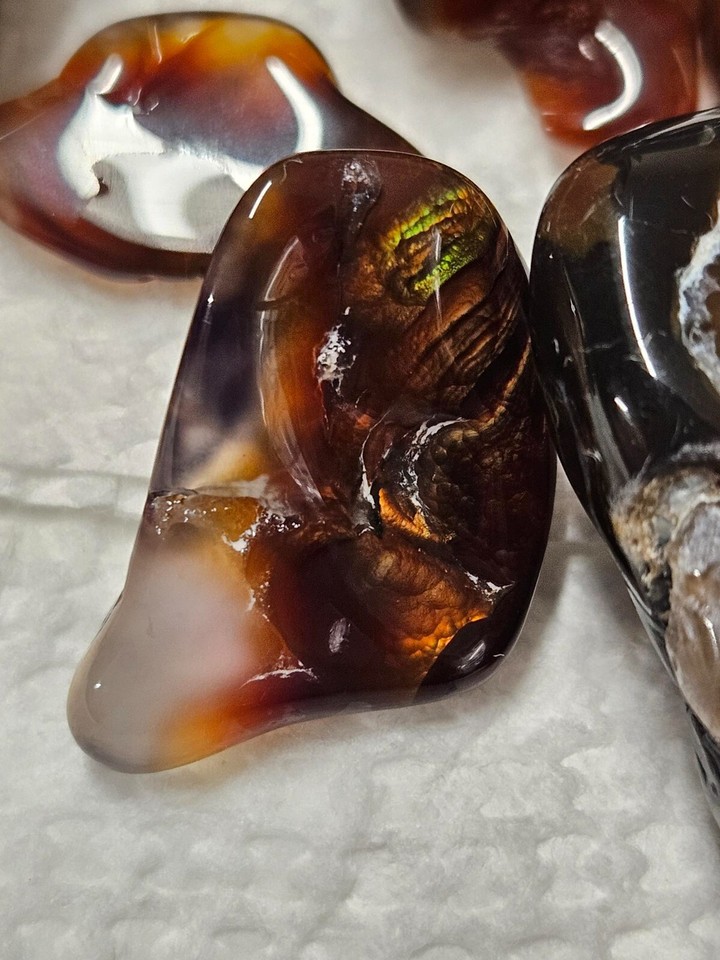 1lb Mexican Fire Agate Unsearched for tumbling polishing jewelry ...