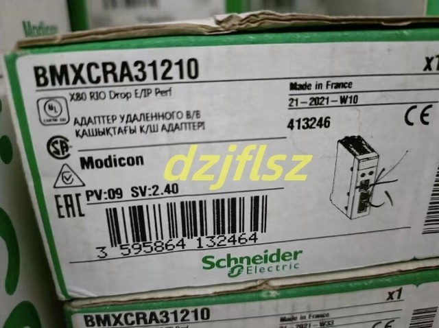 Schneider Electric Modicon X80 RIO Drop E/IP Performance Service Port ...