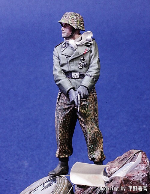 Passion Models P35D-008 1/35 WAFFEN-SS INSIGNIA Decal Set | eBay