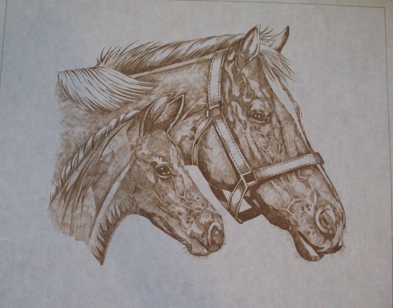 * 1019 HOME ACCENTS UNLIMITED HORSE AND COLT HEAD Picture (Artex-Tri ...