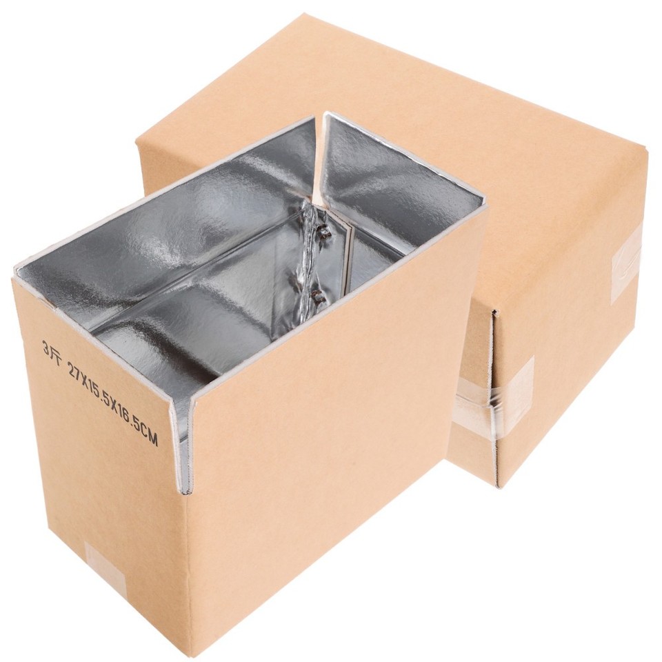 2 Pcs Foam Cooler Box Insulated Shipping Boxes Moving Kits for Mailing ...