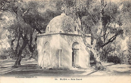 Algérie - BLIDA - Bois Sacré | eBay