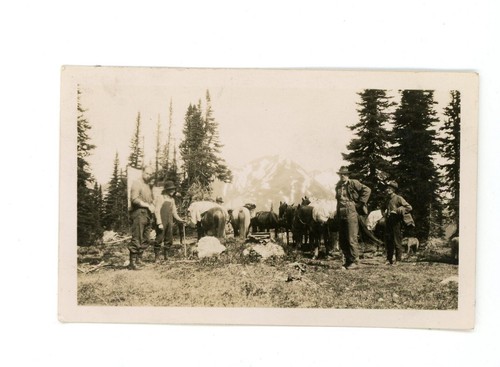 Forestry logging men horses mountain view - vintage snapshot found ...