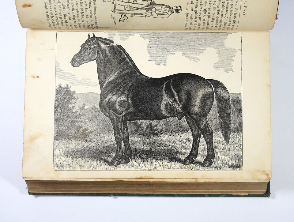 Antique 1892 St. Louis German FARMER ENCYCLOPEDIA Farming Garden Farmer ...