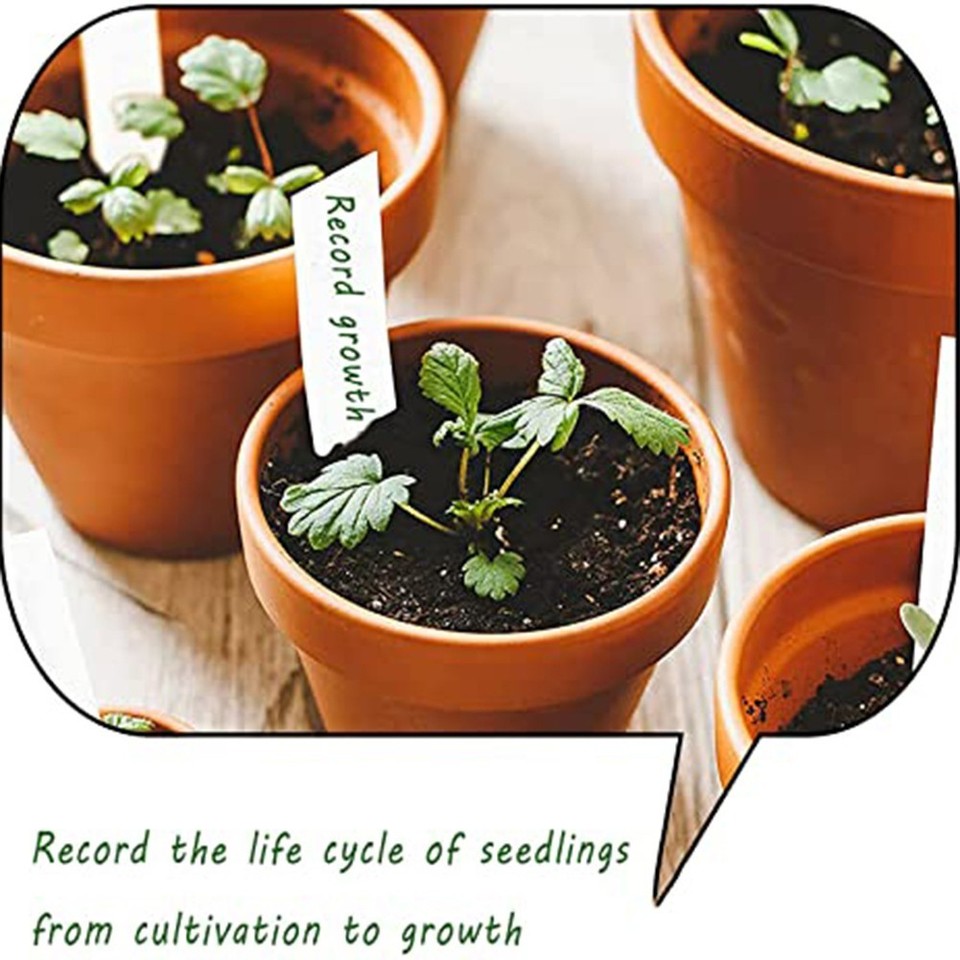 Flexible Labels Plant Labels Garden Garden & Outdoor Living Garden ...