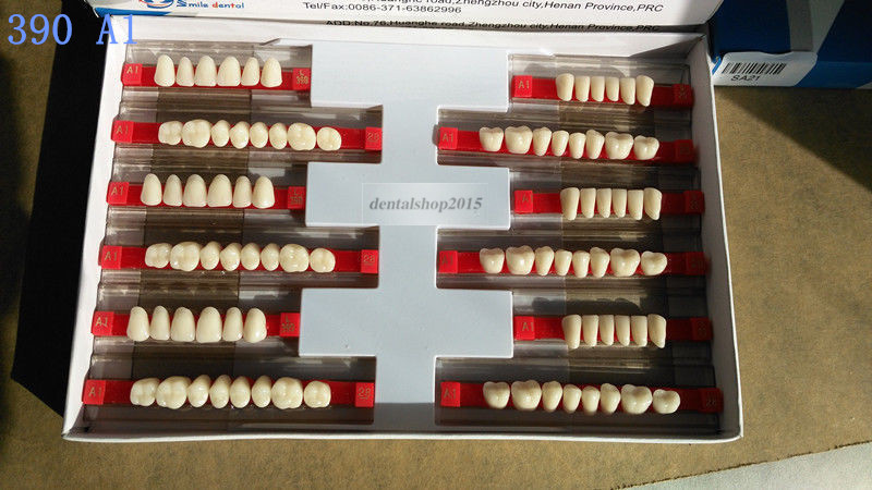 Acrylic resin teeth color A1 dental oral denture 390 small size upper ...