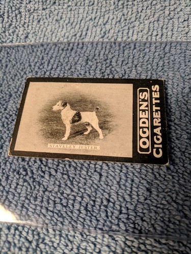 Ogden Guinea Cigarette Tobacco Card Vintage Prewar Staveley Jester | eBay