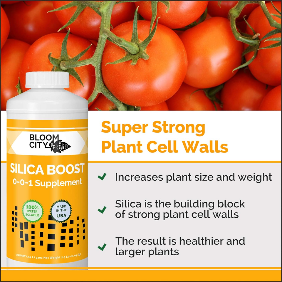 Silica Boost Liquid Fertilizer and Supplement, Concentrated, by Bloom ...