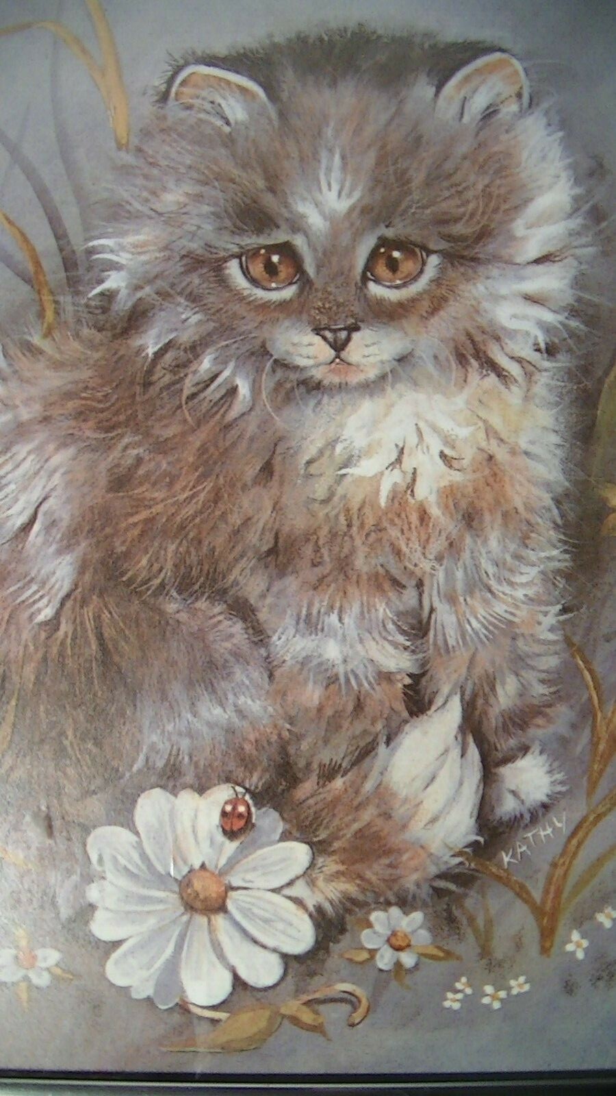 Set of 2 Framed Fluffy Kitten Cat Prints 6" x 8" Wall Decor Home ...