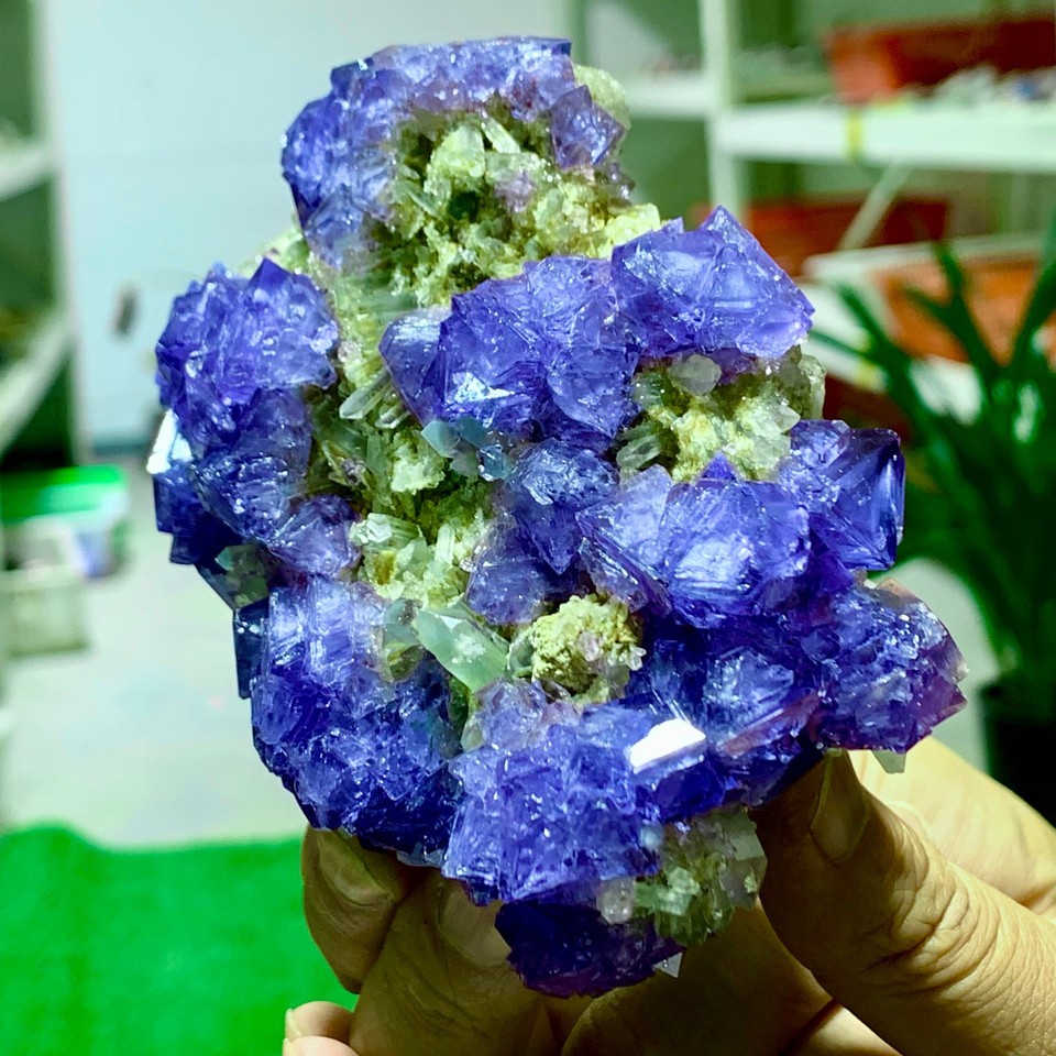 359G Beautiful blue-violet Potassium alum Octahedral Crystal Calcite ...