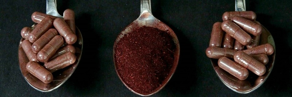 Jobelyn Sorghum Bicolor Leaf Powder (100 Veg Capsules) | eBay