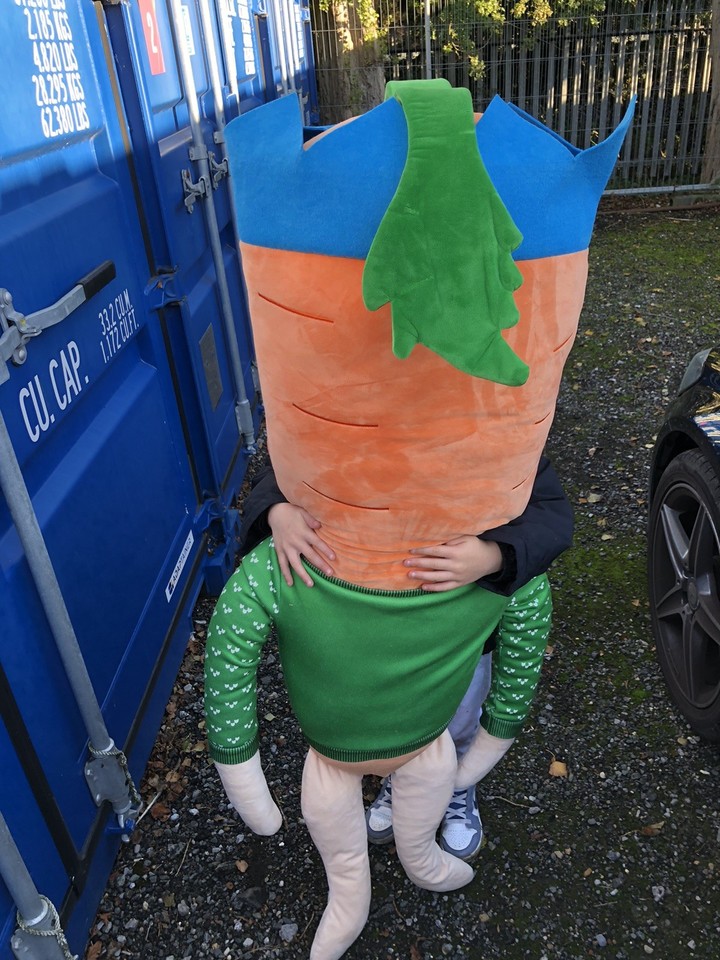 Aldi Giant Christmas Kevin the Carrot Discontinued Limited Edition ...