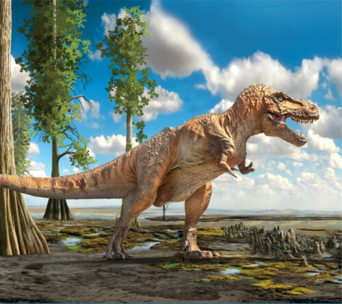 PNSO Tyrannosaurus Rex Wilson Tyrannosauridae Dinosaur T-Rex Toy Animal ...