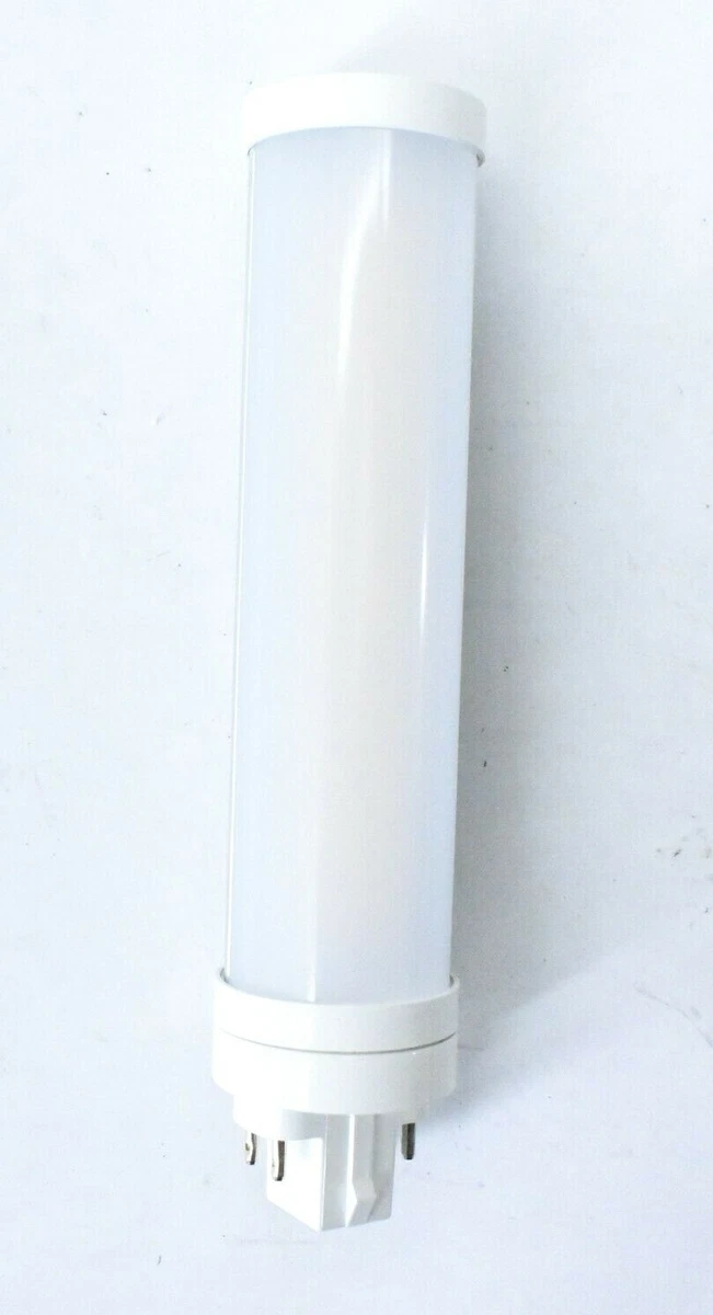 Damar Led Lighting | Shelly Lighting