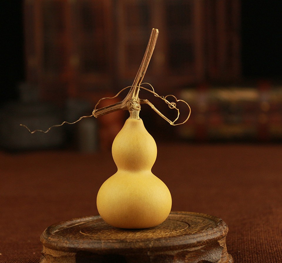 5pcs Natural Bottle Gourds Craft Dried Cleaned Calabash Cucurbit DIY ...