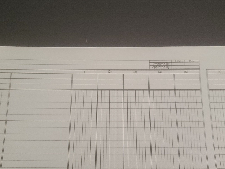 (50 SHEETS) 13 COLUMN 11 x 16 3/8" 3-ring Ledger Accounting Work GREEN ...