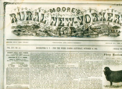 Newspaper Colored Regiment Riot @D.C. Pithole, PA Oil Fire Richmond ...