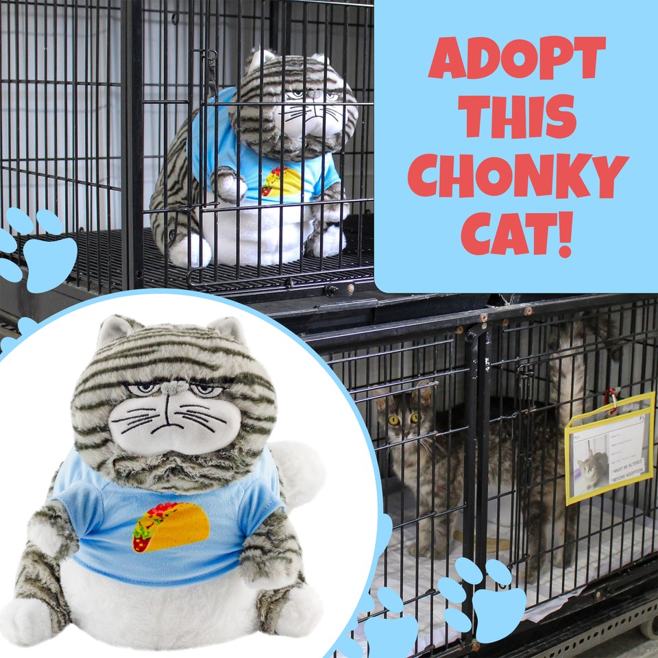 Chonky Cat Weighted Plush, Stuffed Fat Cat Plush Animal Toy, Autism ...