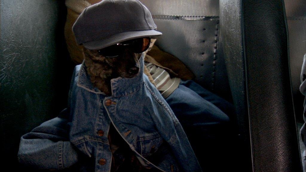 First Dog - Zurück nach Hause (DVD) John-Paul Howard Eric Roberts Eliza ...