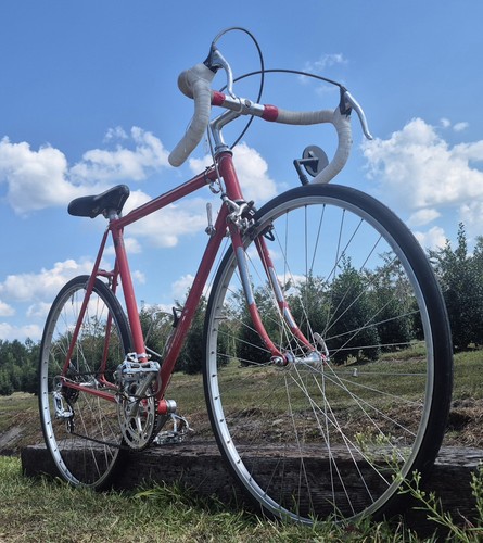 VINTAGE Italian Road Bicycle Campagnolo Record 56cm Serial #7 Reynolds ...