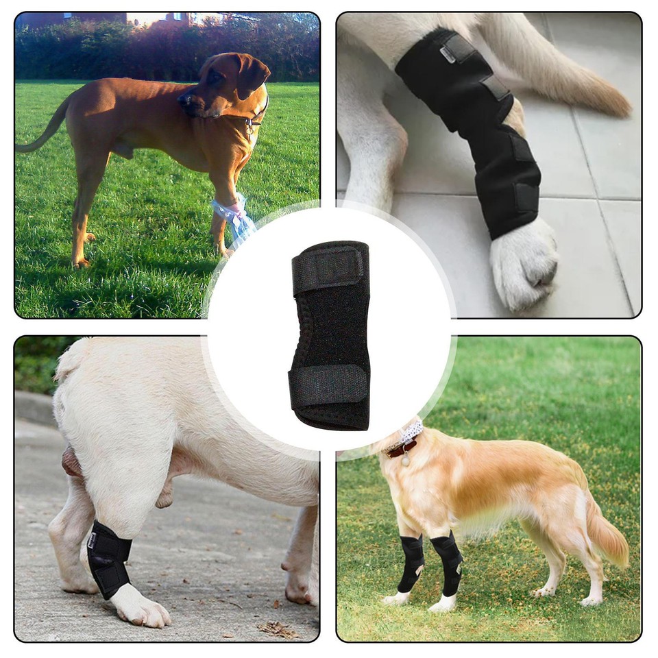 Dog Knee Brace Leg Brace for Sprain ACL Arthritis Joint Pet Dog Back ...